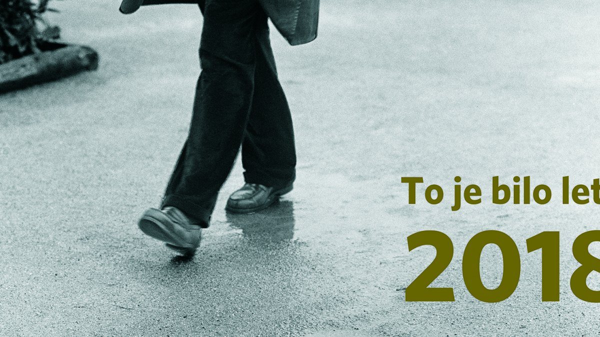 To je bilo leto 2018