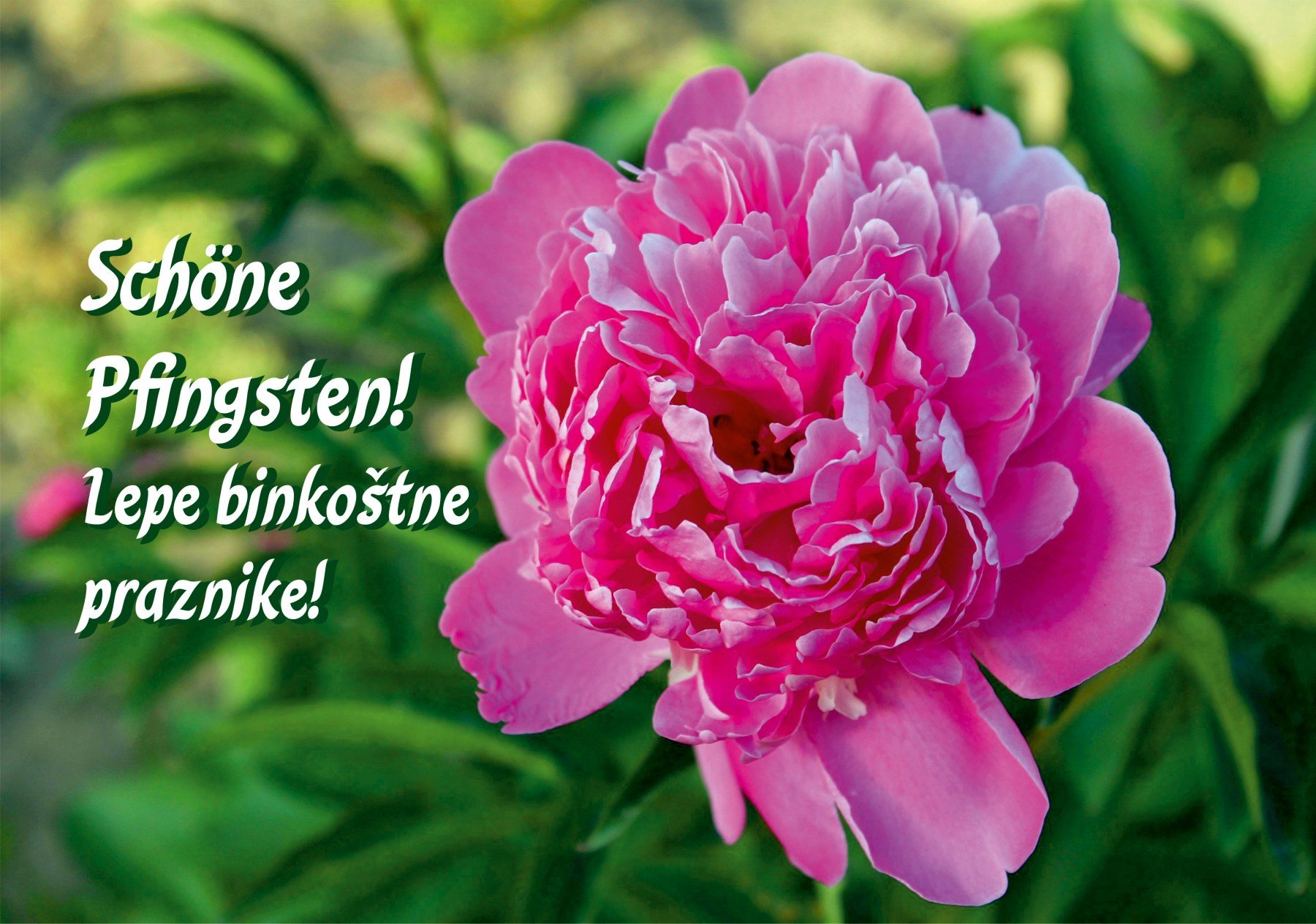 Pfingsten - Binkošti