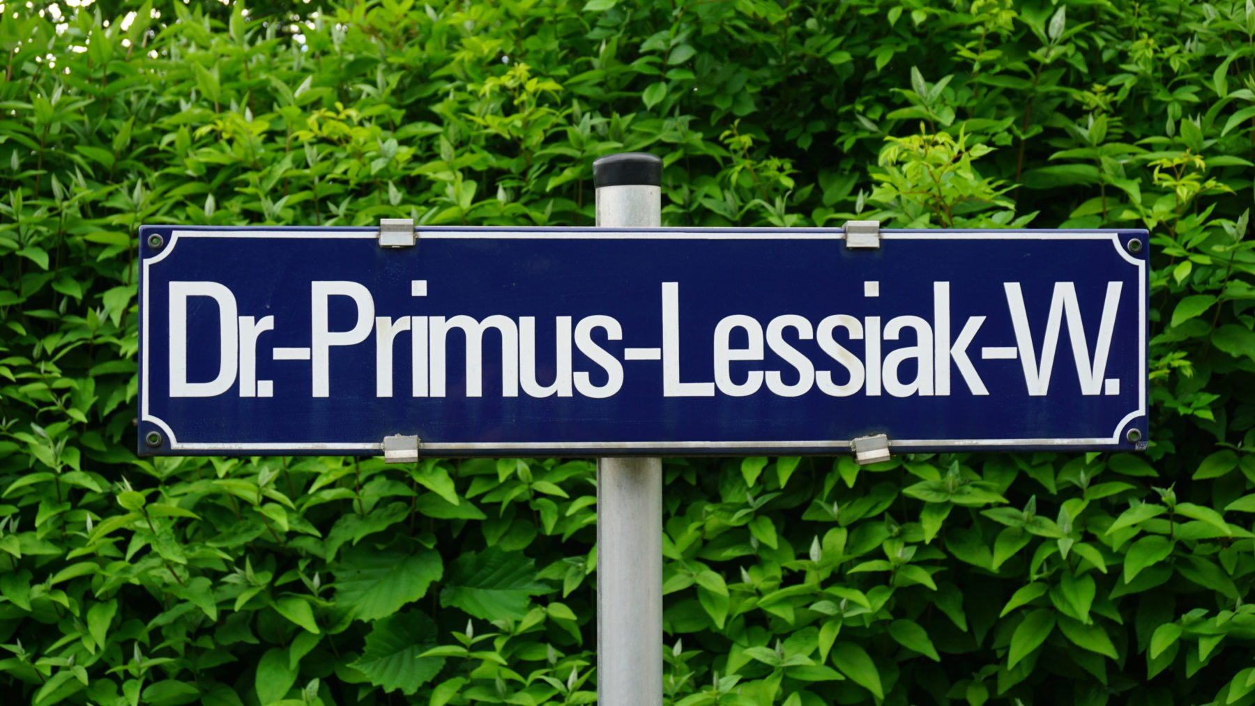 Univ.Prof. Dr. Primus Lessiak (1878-1937)