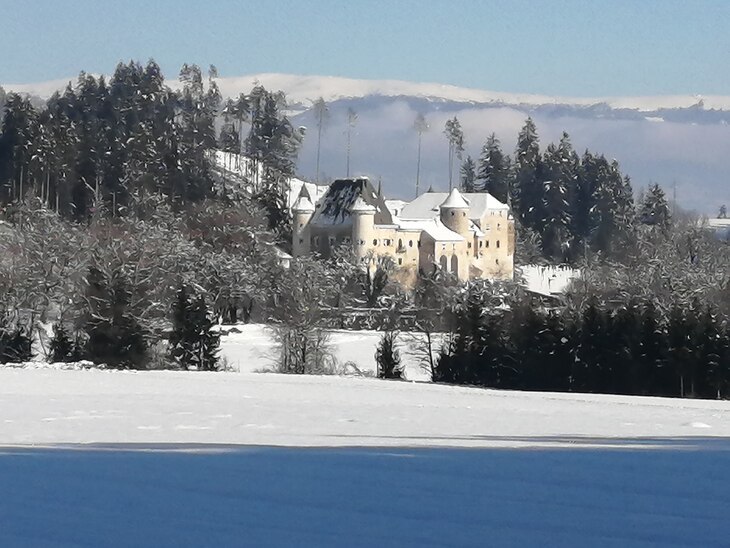 Liedplan Februar 2026